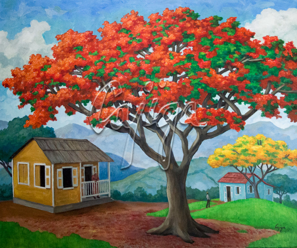 El Campo de Flamboyanes #1 – Luis Germán Cajiga