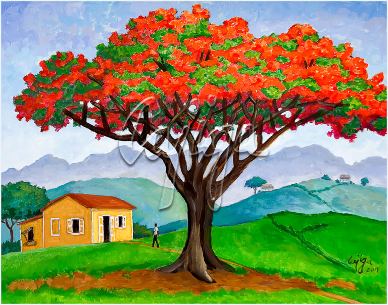 Flamboyan y casa amarilla – Luis Germán Cajiga