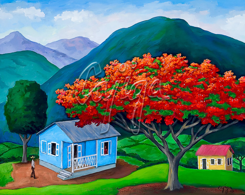 Flamboyan frente a montaña – Luis Germán Cajiga