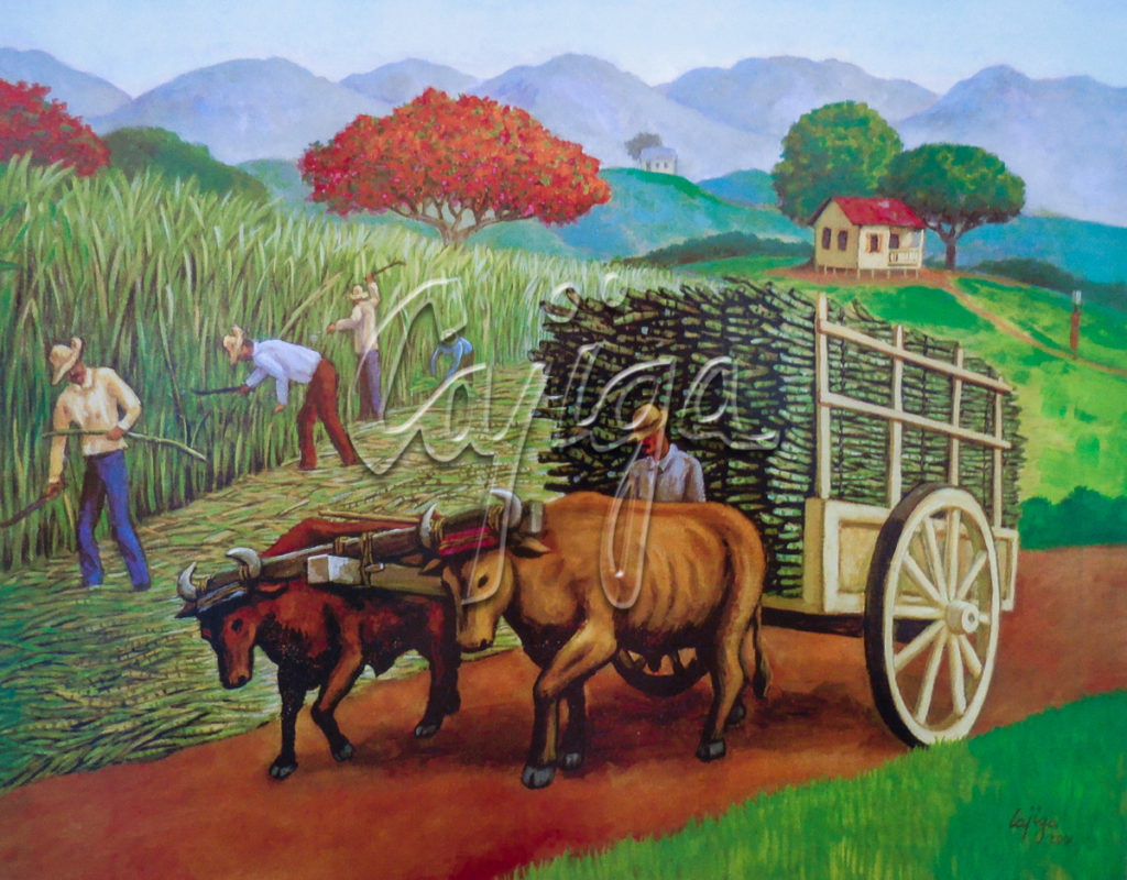 Cañaveral – Luis Germán Cajiga